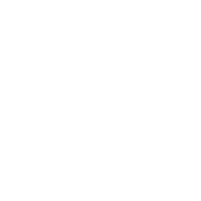 Stylique Home